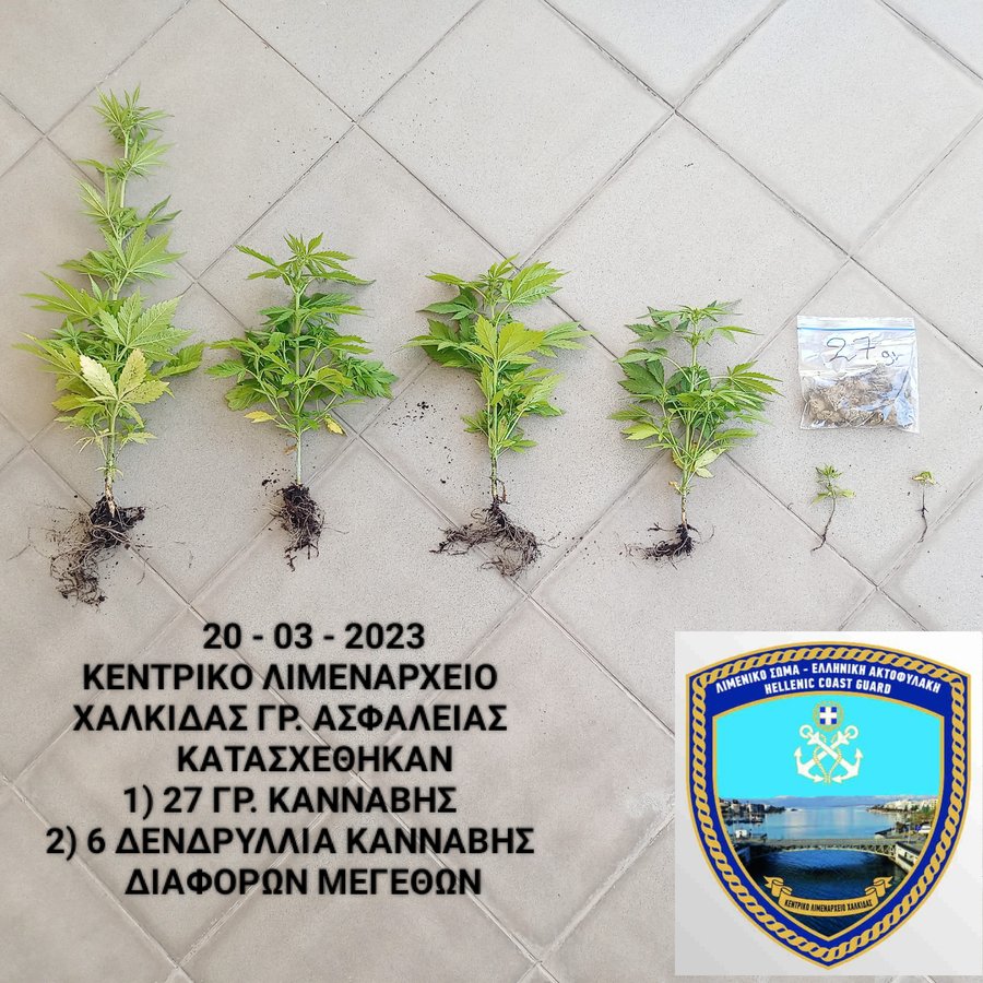 Σύλληψη ημεδαπής για ναρκωτικά στη Χαλκίδα - Εισροή υδάτων σε Α/Κ στη ...